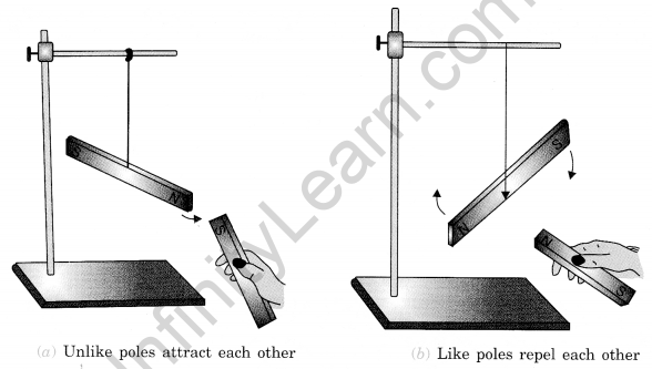 NCERT Solutions for Class 6 Science Chapter 13 Fun with Magnets