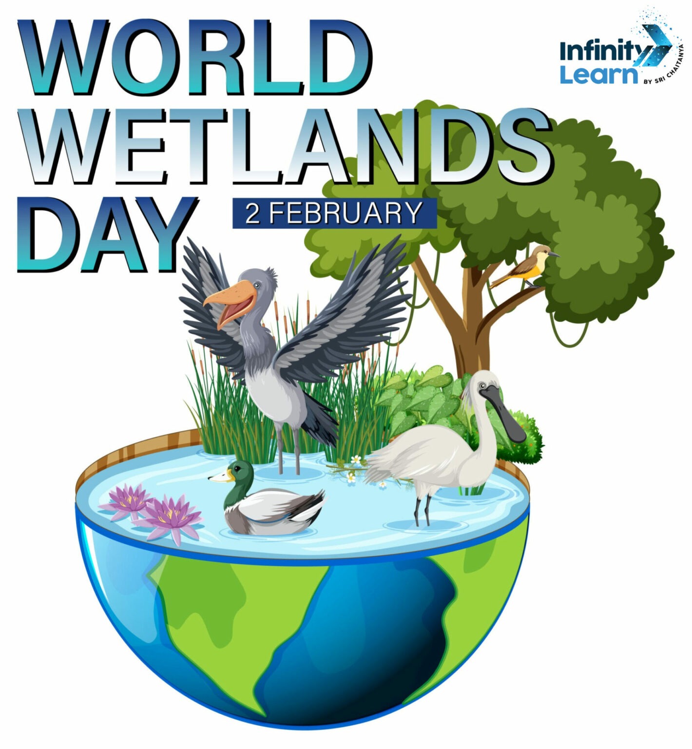 World Wetlands Day 2025: Theme, Importance, and Celebrations