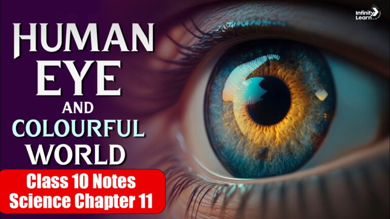 The Human Eye and the Colourful World Class 10 Notes