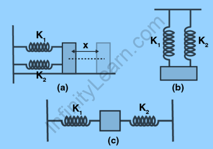 Spring Mass System - Infinity Learn by Sri Chaitanya