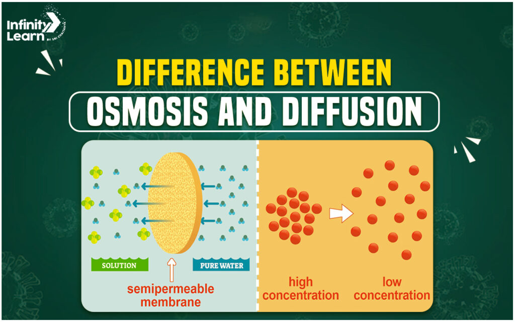 Difference Between Diffusion and Osmosis Explained