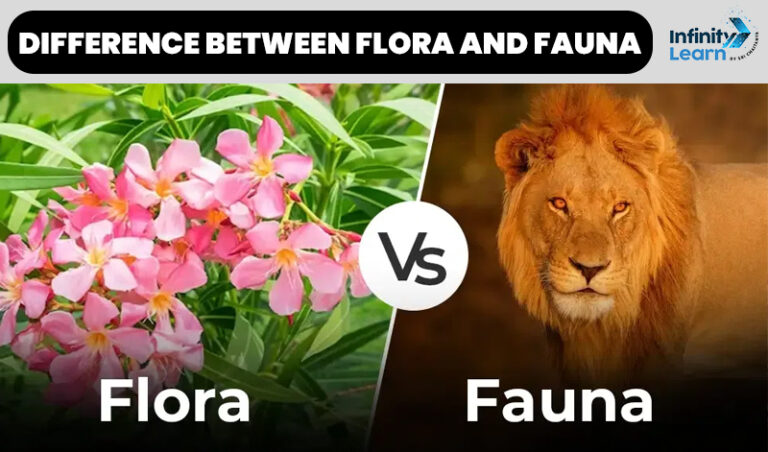 Exploring the Difference Between Flora and Fauna | infinity Learn