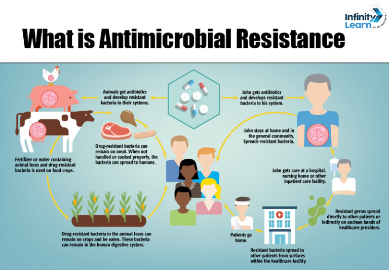 Understanding Antimicrobial Resistance: Causes, Impact & Solutions | IL