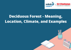 Deciduous Forest - Meaning, Location, Climate, and Examples