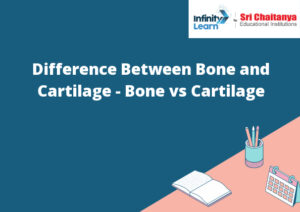 Difference Between Bone and Cartilage - Bone vs Cartilage - Sri Chaitanya Infinity Learn Best ...