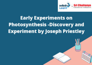 Early Experiments on Photosynthesis: Insights into Plant Science
