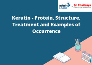 Keratin - Protein, Structure, Treatment and Examples of Occurrence
