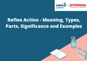 Reflex Action - Meaning, Types, Parts, Significance and Examples