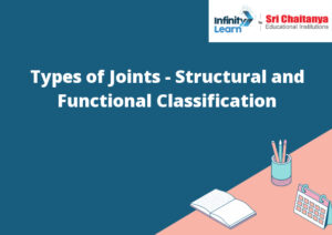 Types of Joints - Structural and Functional Classification - Infinity ...