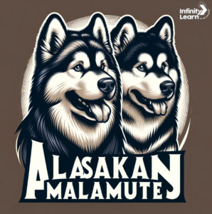 Alaskan Malamute - History, Temperament, and Physical Characteristics