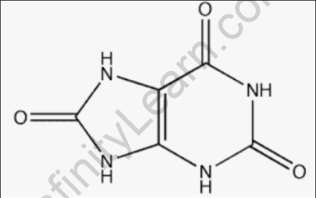 Uric Acid Formula - Properties and Biochemistry and Significance