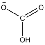 Bicarbonate Formula - Uses, Structural Formula and Physical Properties