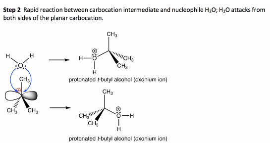 SN1 Reaction - Mechanism, Diagram & Comparison with SN2 Reaction