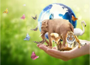 Biodiversity Conservation : Definition, Methods and Conservation ...