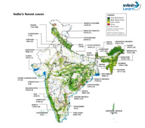 Forest Map of India - Importance, Types and Regions | IL