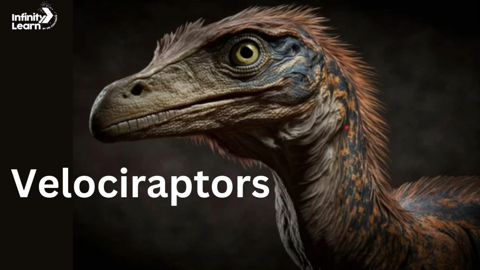 Velociraptor Dinosaur - Appearance, Behaviour and Habitat