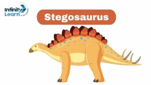 Stegosaurus: Diet, Habitat and Interesting Facts