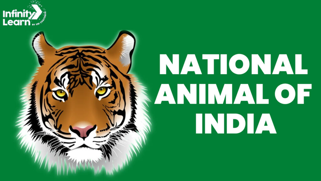 National Animal of India- Important facts on Tiger