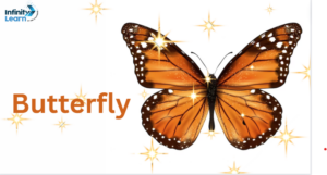 Butterfly: Life Cycle, Classification, Anatomy & Facts