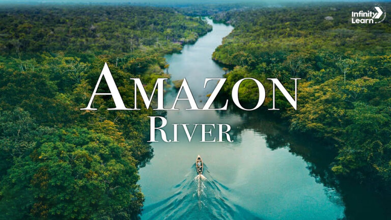 Amazon River - History, Discharge, and Tributaries