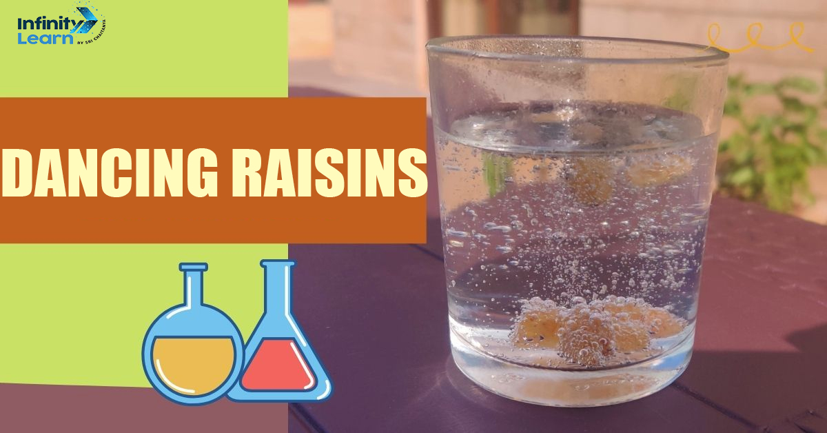 Fun and Easy Science Project Ideas for Class 5 Students