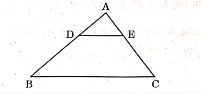 CBSE Class 10 Maths Answer key 2024 for Set 1, 2,& 3| Download PDF