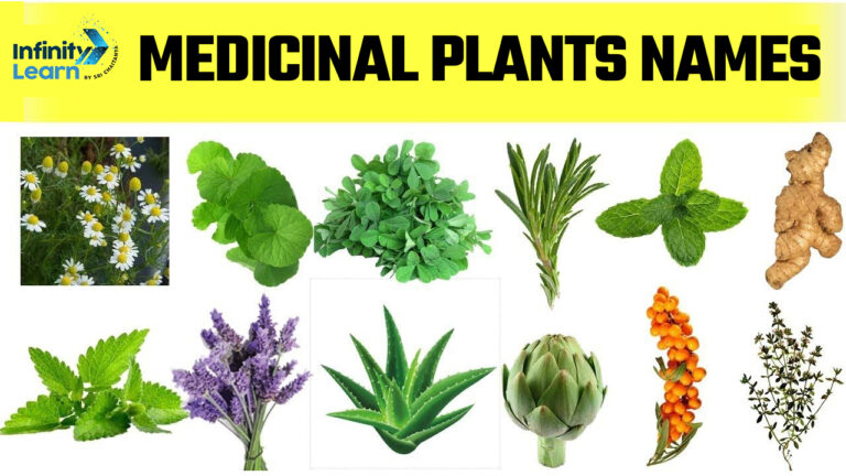 List of Top 15 Medicinal Plants Names and their Uses | Infinity Learn