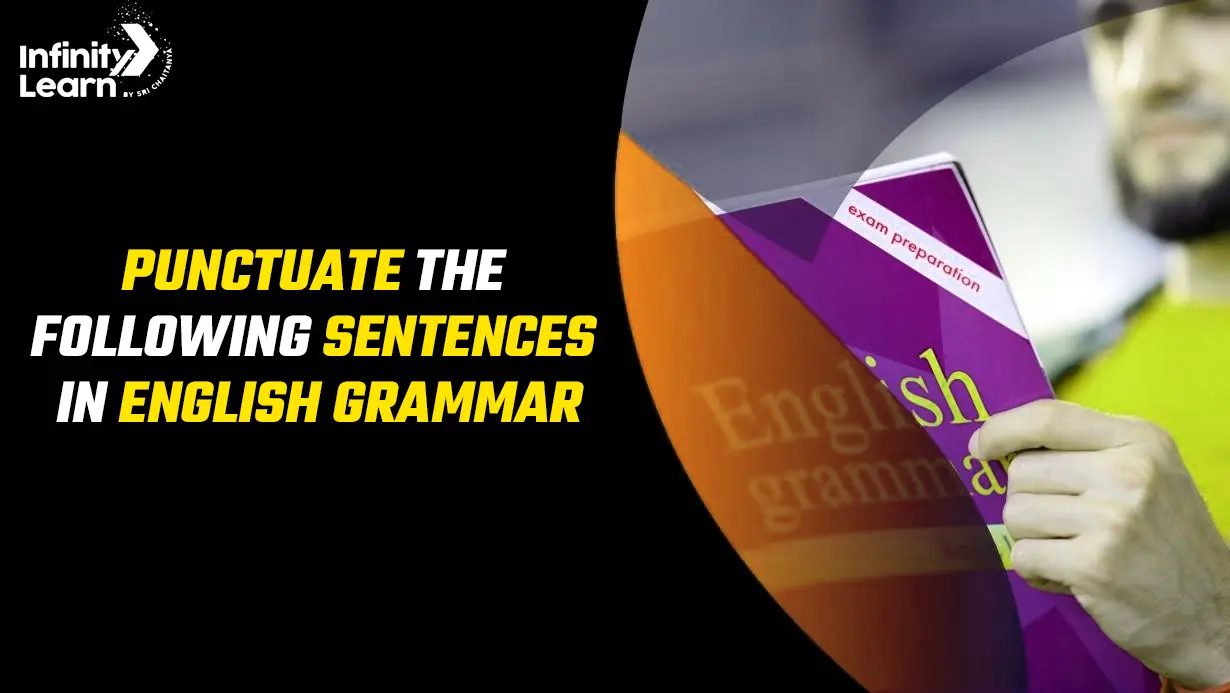 Punctuate the Following Sentence in English Grammar