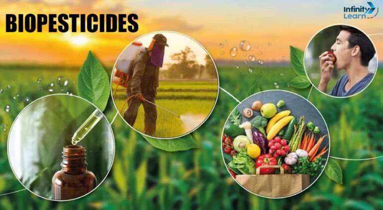 Biopesticides: Definition, Classification, Example, Advantages ...
