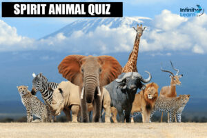 50+ Spirit Animal Quiz Questions and Answers for Students