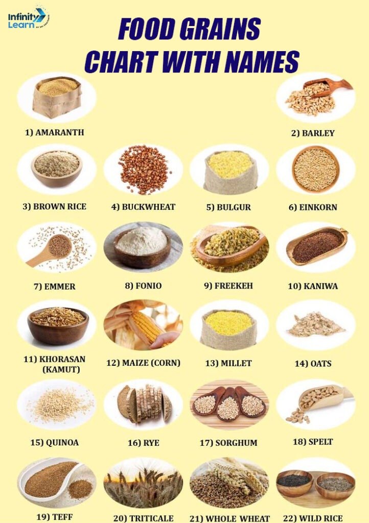 List of 20 Food Grains Names in English and Hindi | Infinity Learn
