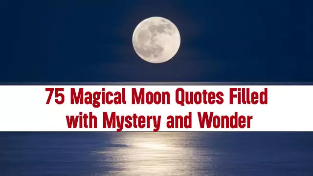 75 Magical Moon Quotes Filled with Mystery and Wonder